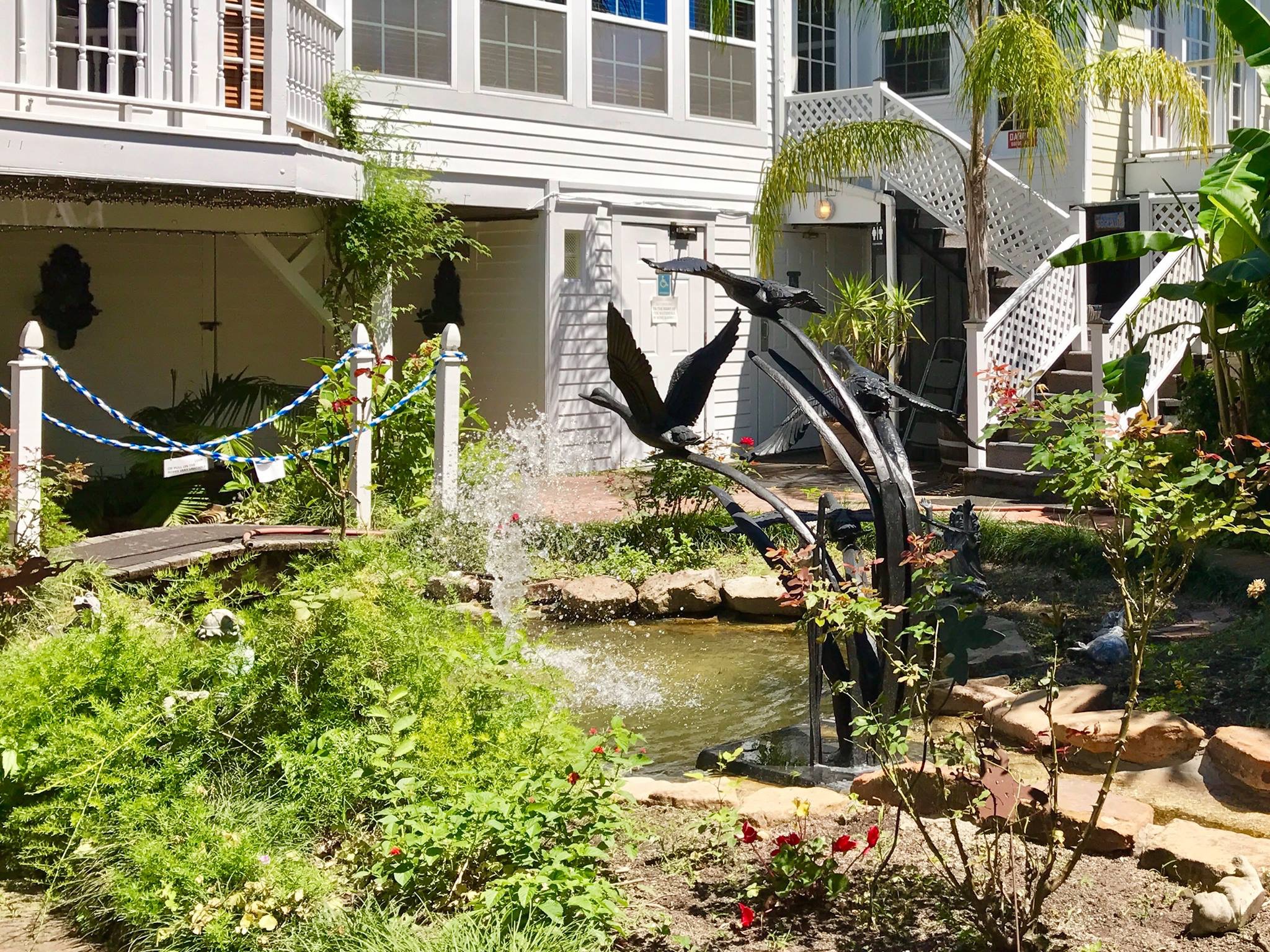 The Lovely Gardens at Baba Yega Cafe – To Create Sunshine